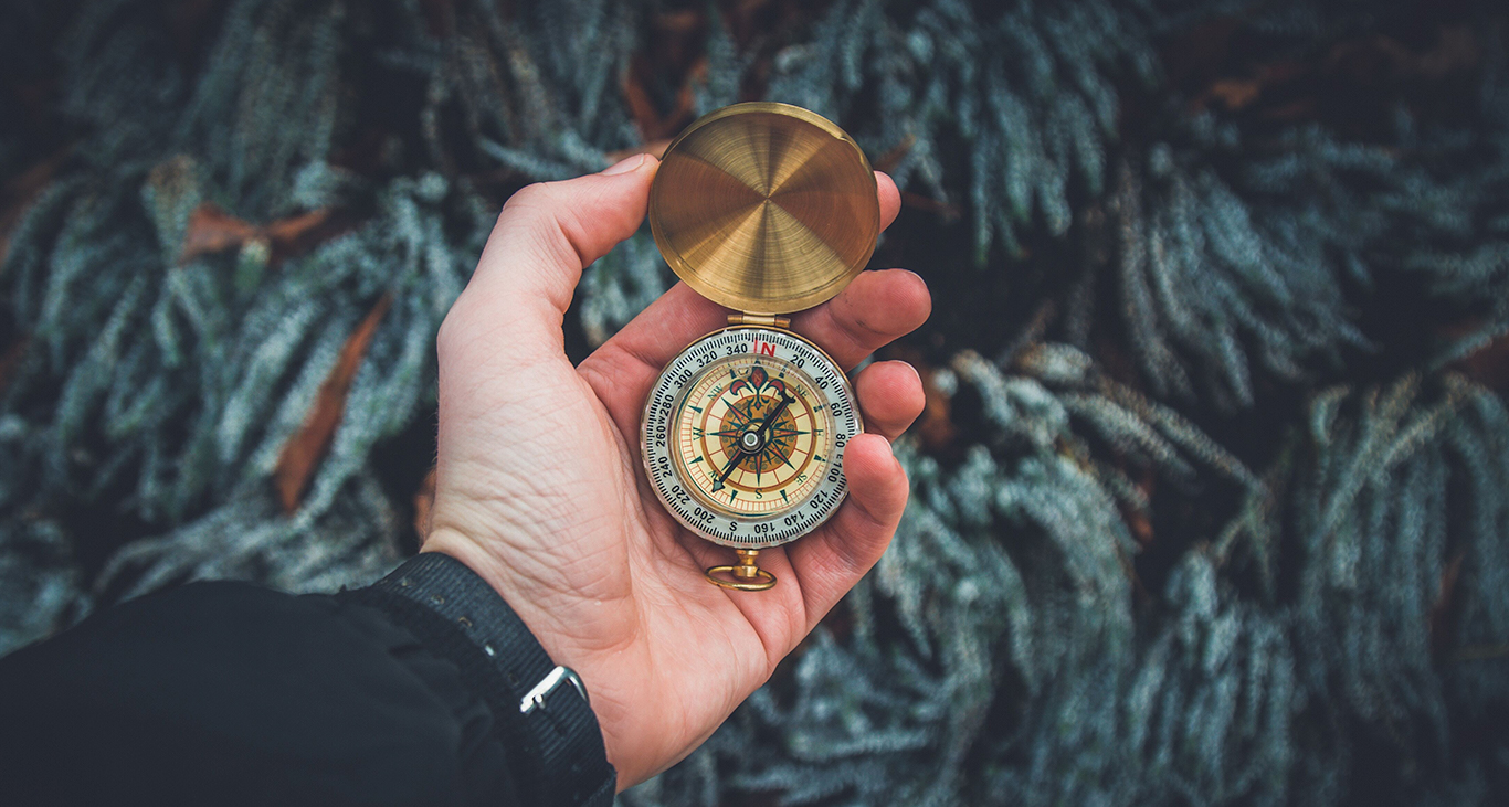 How to Navigate Through Change | Newport Institute